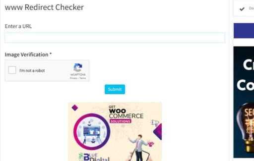 This Crazy Trick Reveals Where Any URL Redirects to | Redirect Checker Guide | SEOToolsPark